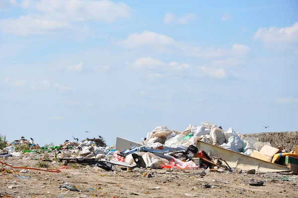 Different garbage on the ground in the municipal landfill with birds in ...