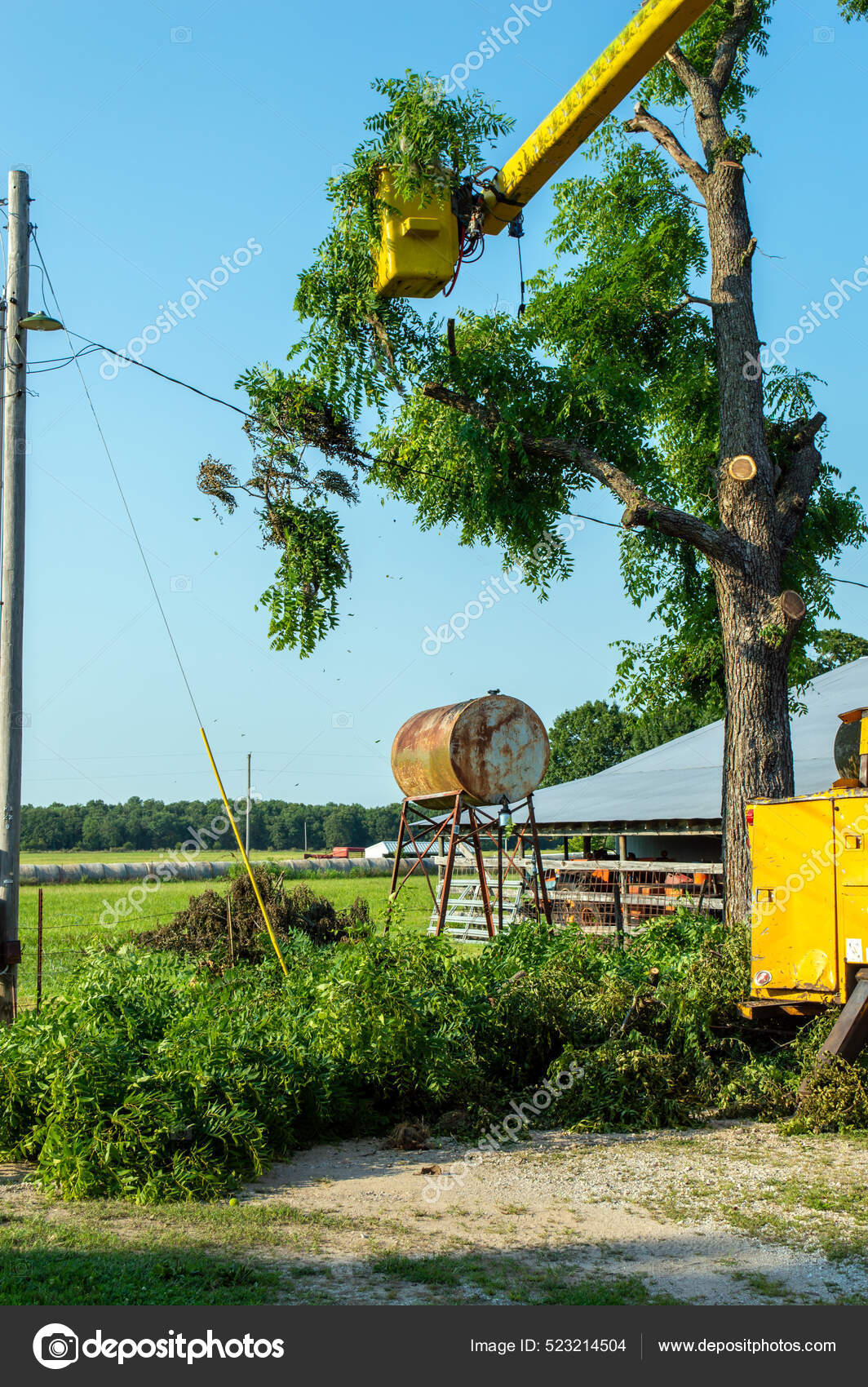 Logger Bucket Works Diligently Sawing Throwing Tree Limbs Piece Piece ...
