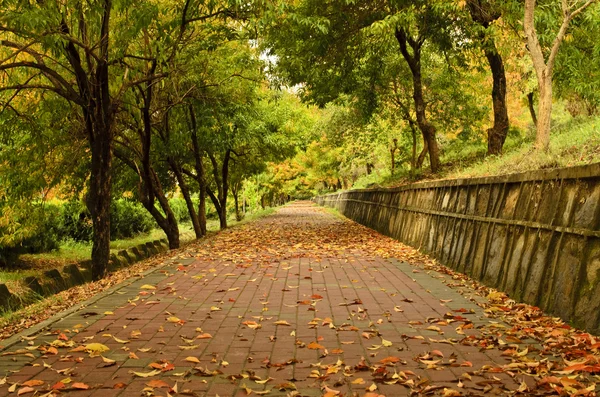 Islamabad landscape Stock Photos, Royalty Free Islamabad landscape ...