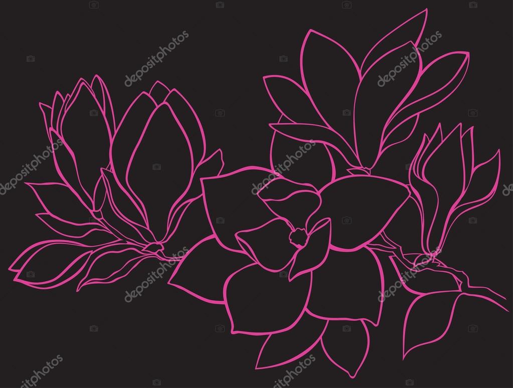 Magnolia flower Stock Vector Image by ©ShutBo #20064517