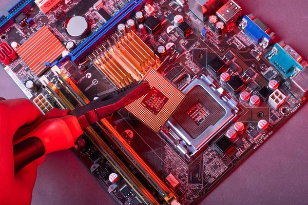 Computer Board Covered Earth Concept Scarcity Chips Funeral Grave ...