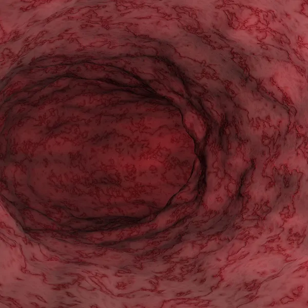 Inside biology Stock Photos, Royalty Free Inside biology Images ...