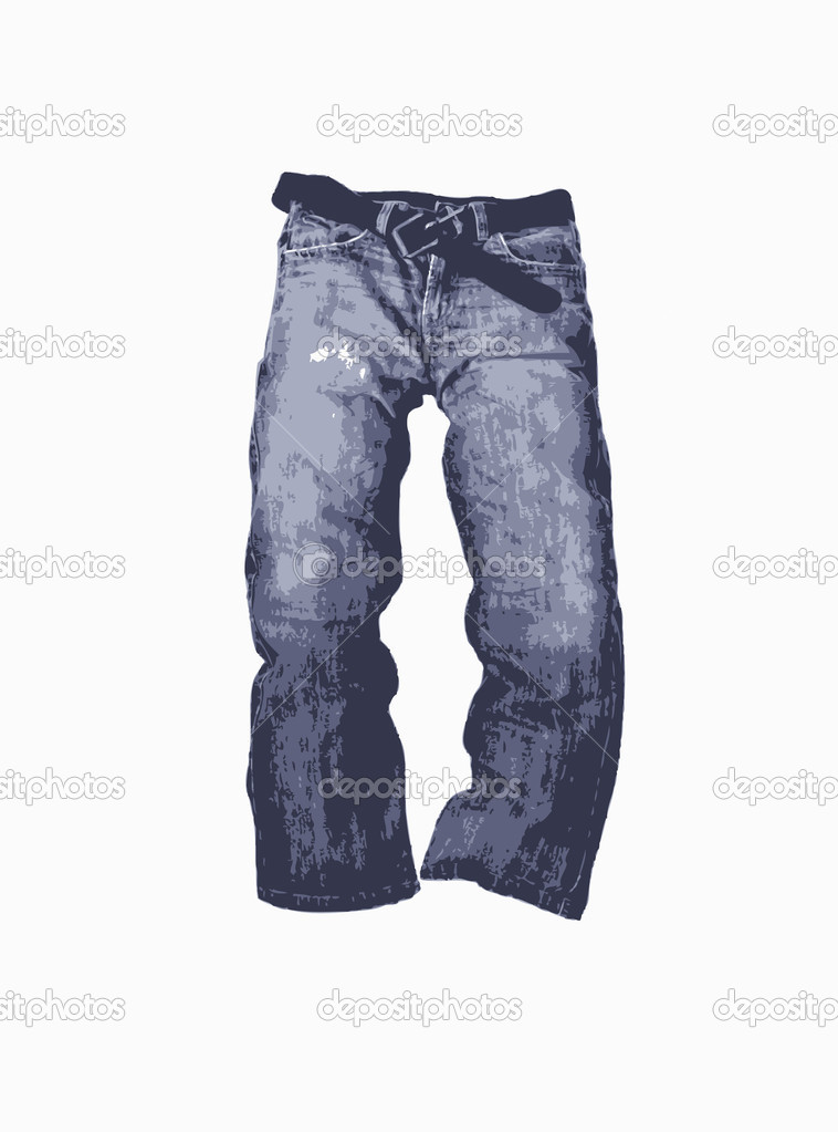Denim Jeans Vector Illustration — Stock Vector © Ingridat 39688789