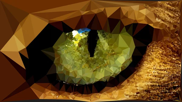 Triangle Animal eye vector Illustration - Stock Image - Everypixel
