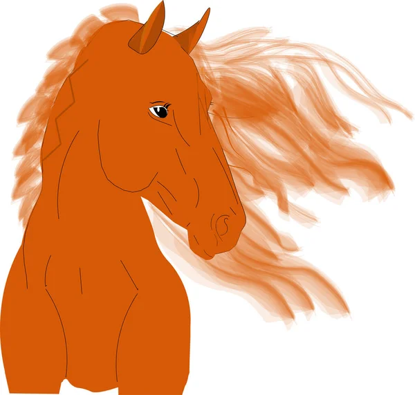 Rousse cheval images vectorielles, Rousse cheval vecteurs libres de ...