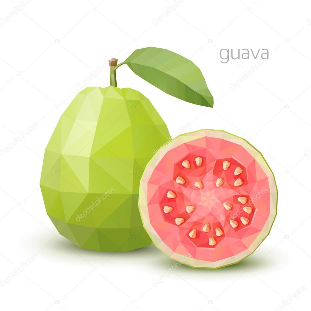 Fruta poligonal - guayaba. ilustración vectorial — Vector de stock ...