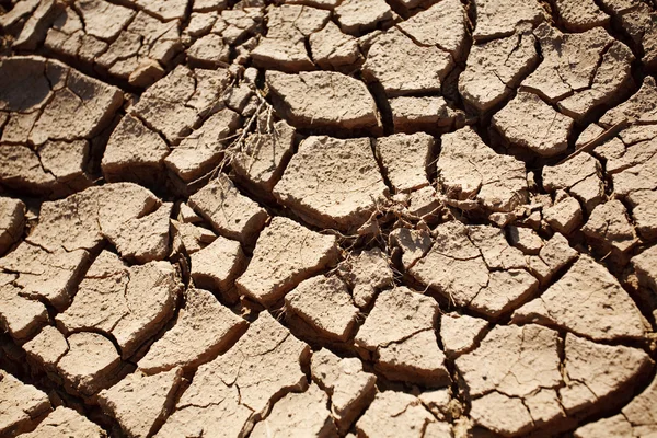 No rain Stock Photos, Royalty Free No rain Images | Depositphotos