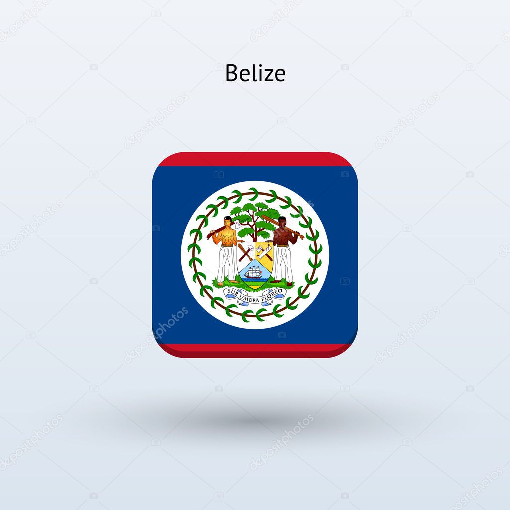 Belize flag icon Stock Vector by ©tkacchuk 36302975
