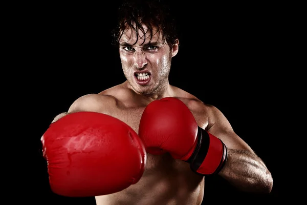 Boxer Stock Photos, Royalty Free Boxer Images | Depositphotos