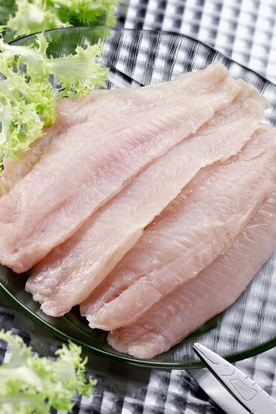 Mero fish fillets — Stock Photo © estudiosaavedra #23791197