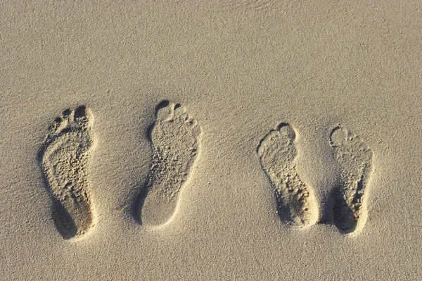 Two pairs footstep on the beach — Stock Photo © Molbert #23350708