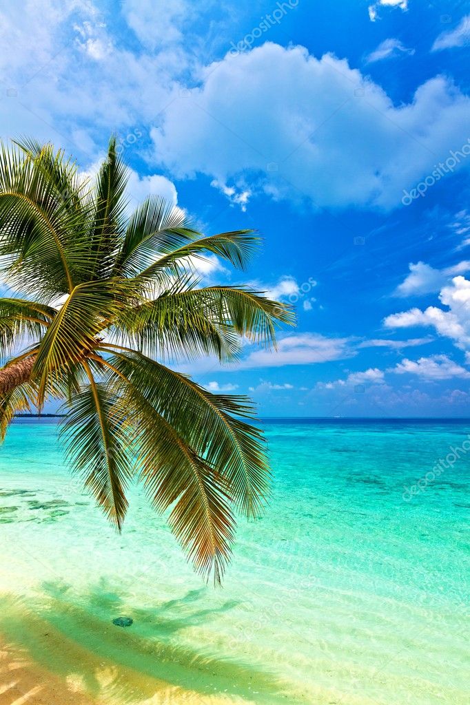 Tropical beach — Stock Photo © Molbert #21809245