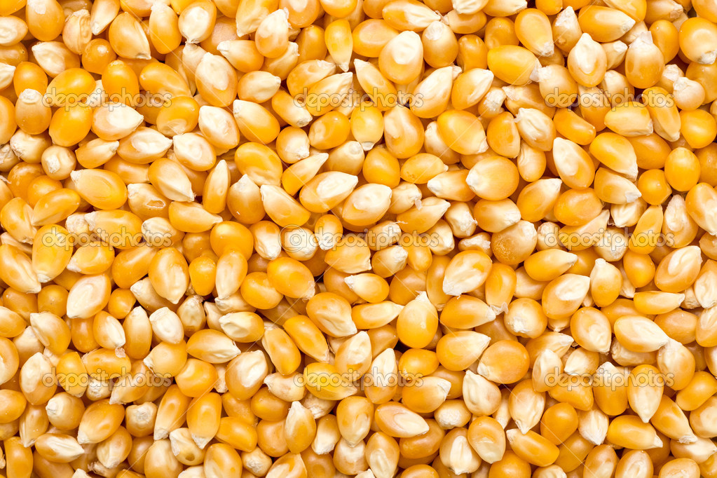 Corn Seeds Background Stock Photo by ©radub85 36623093