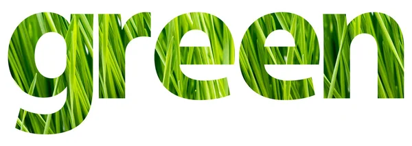 Daily greens Stock Photos, Royalty Free Daily greens Images | Depositphotos