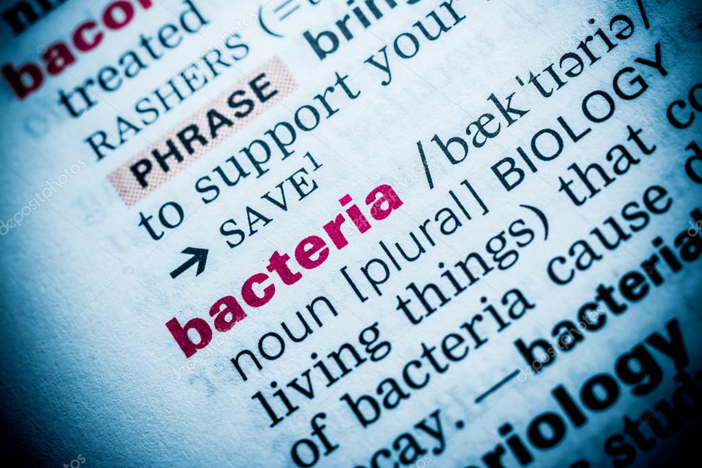 Bacteria Word Definition In Dictionary — Stock Photo © radub85 #40944341