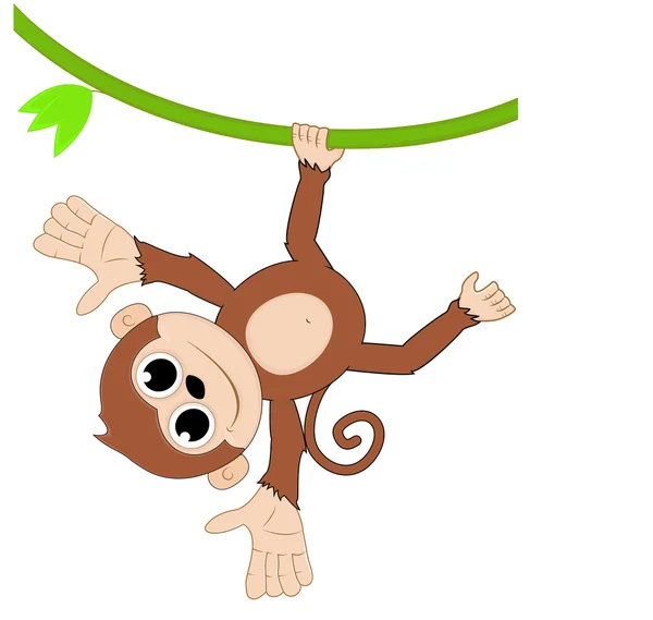 100,000 Chango colgado Vector Images | Depositphotos