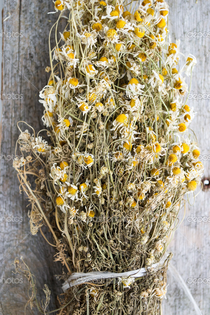 Manzanilla seca o matricaria chamomilla en madera — Fotos de Stock ...