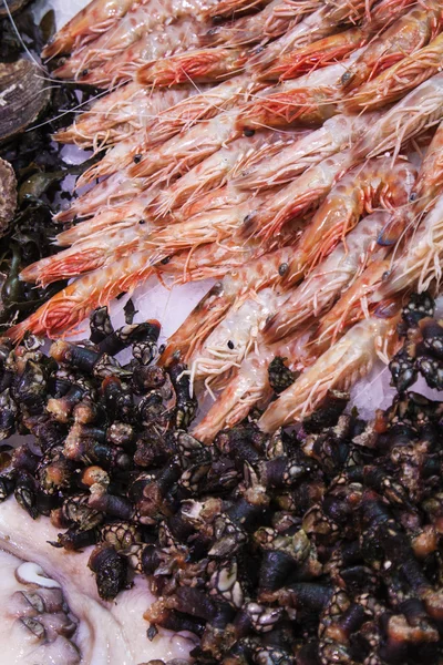 Seafood portugal Stock Photos, Royalty Free Seafood portugal Images ...