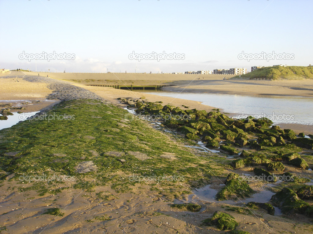 Moss-clad dam and sluice at beach — Stock Photo © YellowPaul #29851997
