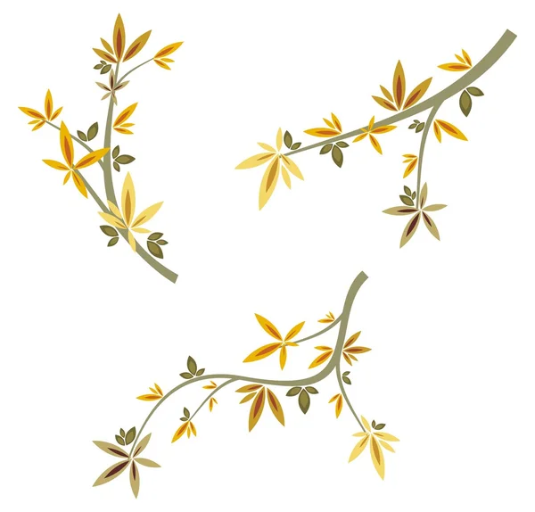 Branch design set in a single style, vector illustration series. Stock ...