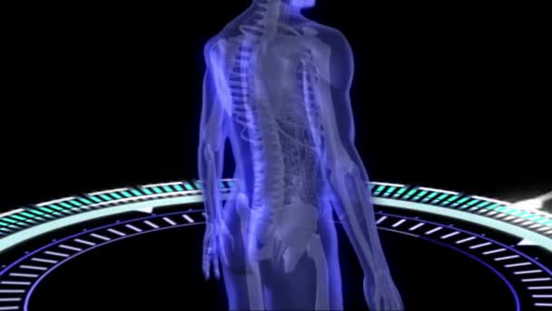 The human body Stock Videos, Royalty Free The human body Footages ...