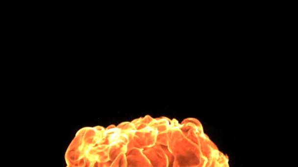 4,439 vídeos de Verticalmente, metraje de Verticalmente sin royalties ...