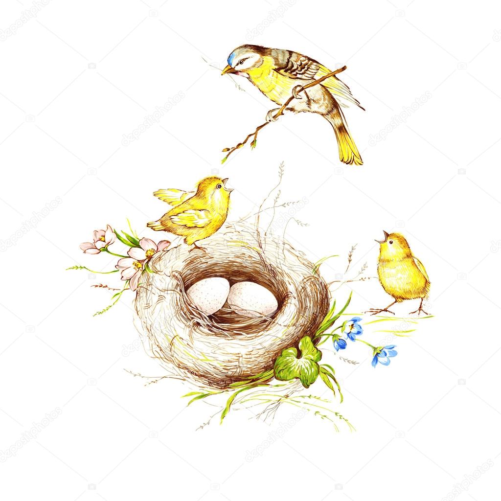 Birds spring. Stock Illustration by ©irsen.kh #43666585