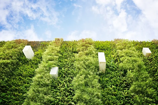 ᐈ Vertical garden texture stock images, Royalty Free garden texture ...