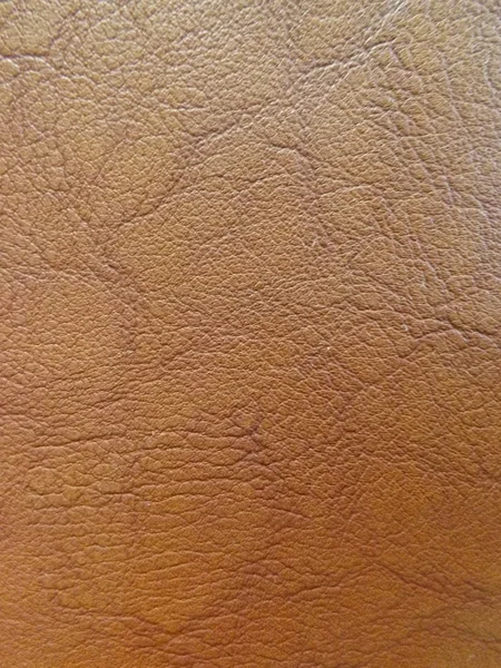 Cuir gras images libres de droit, photos de Cuir gras | Depositphotos