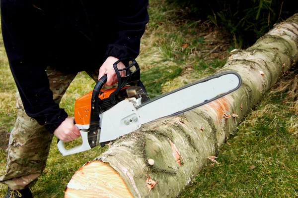 Tree felling Stock Photos, Royalty Free Tree felling Images | Depositphotos