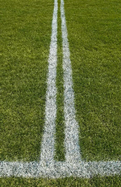 Double boundary line of a playing field - Stock Image - Everypixel