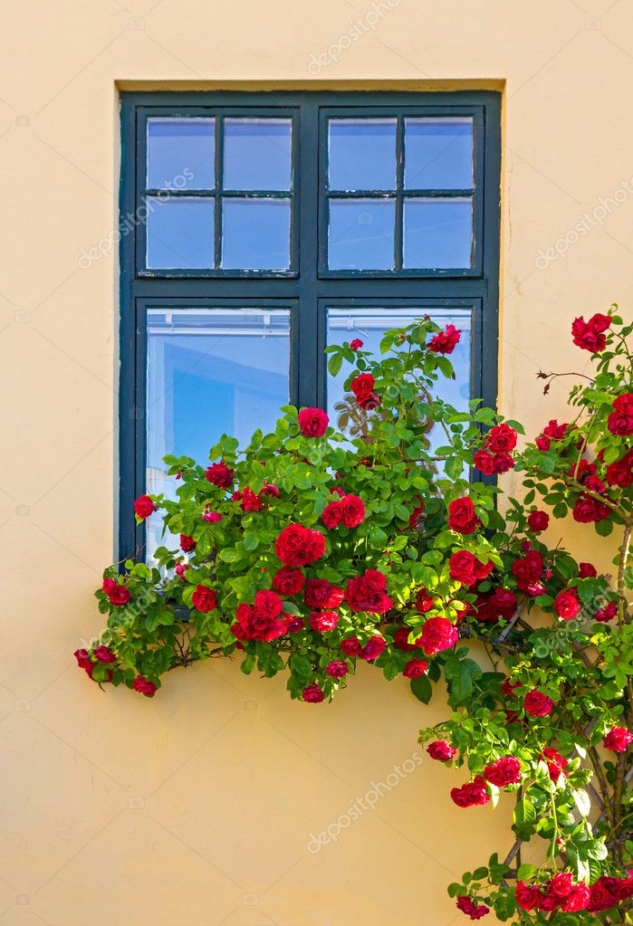 Roses decorating a house Stock Photo by ©StudioLightAndShade 39023067