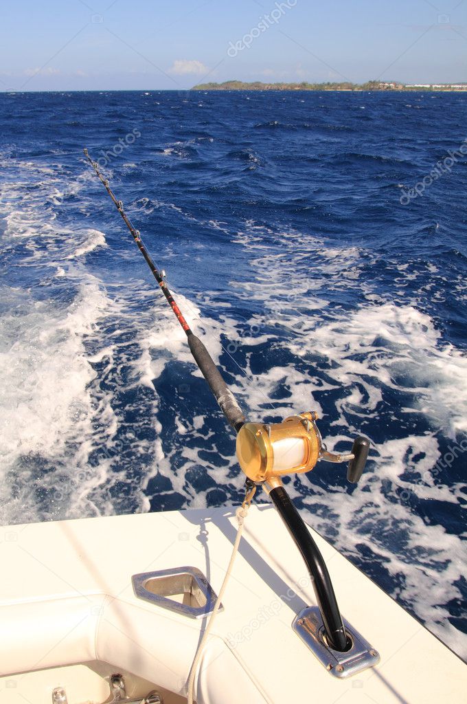 deep sea fishing rods,Save up to 15%,www.ilcascinone.com