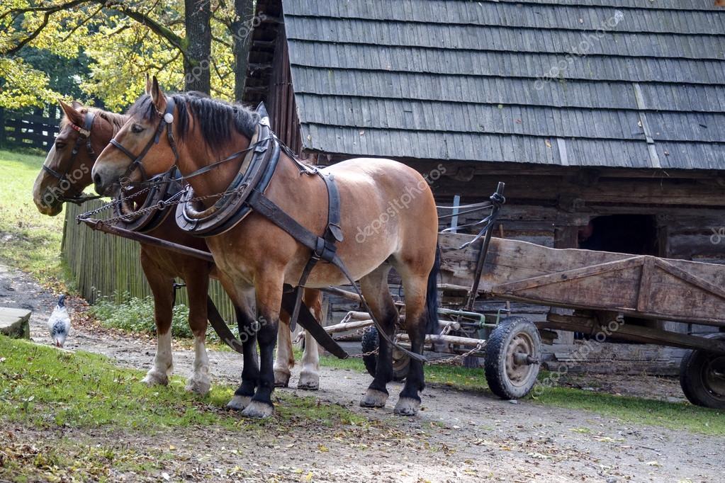 Farm With Horse Carriage