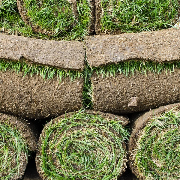 Green turf Stock Photos, Royalty Free Green turf Images | Depositphotos