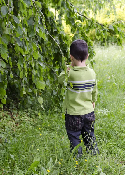 Child under tree in countryside Stock Photo by ©pavsie 39892231
