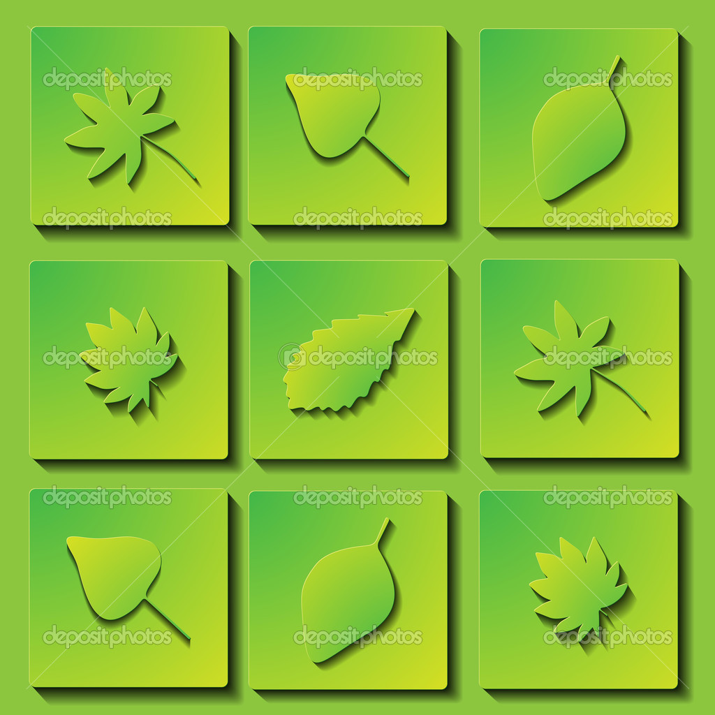 Icons with different leaves Stock Vector Image by ©Chorniy10 #25416509