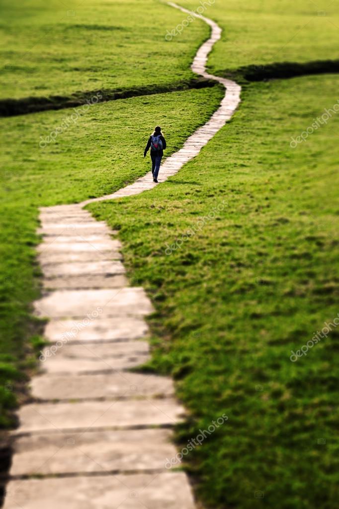 Long Flagstone Path Through Field — Stock Photo © antb #43431339