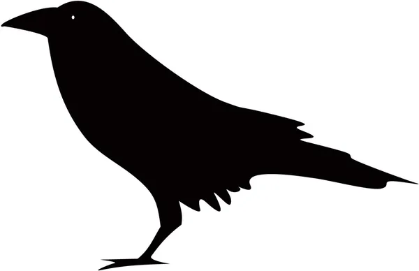 Raven Head Silhouette