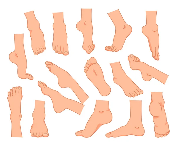 Anatomie des pieds images libres de droit, photos de Anatomie des pieds ...