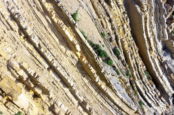 Sedimentary rock Stock Photos, Royalty Free Sedimentary rock Images ...