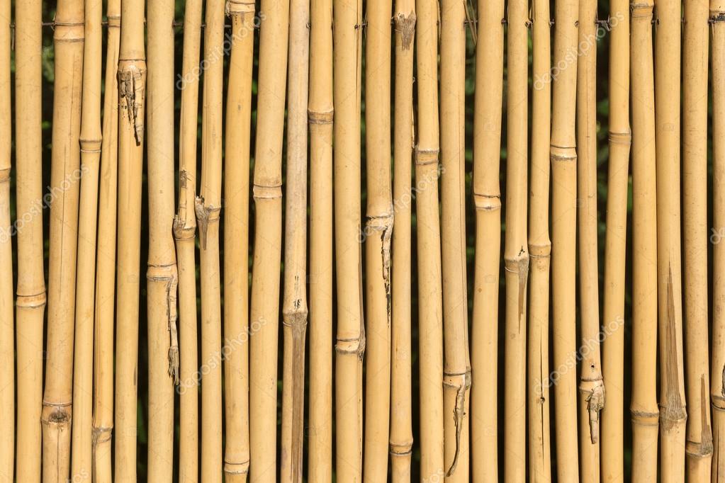 Textura de caña de bambú: fotografía de stock © mimadeo #48612443 ...