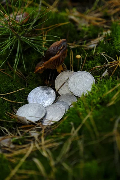 Pile of coins Stock Photos, Royalty Free Pile of coins Images ...