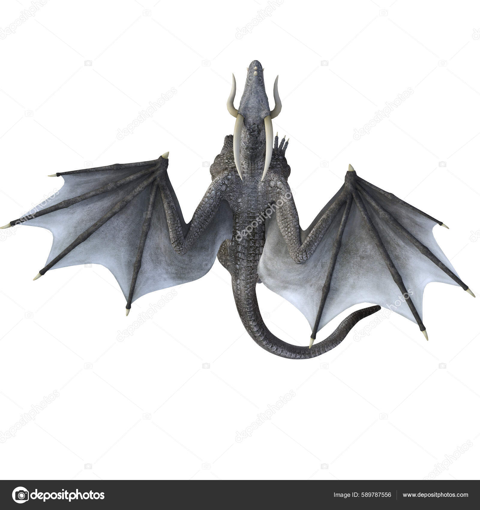 Dragon Isolated White Background Stock Photo by ©queen_wyvern 589787556