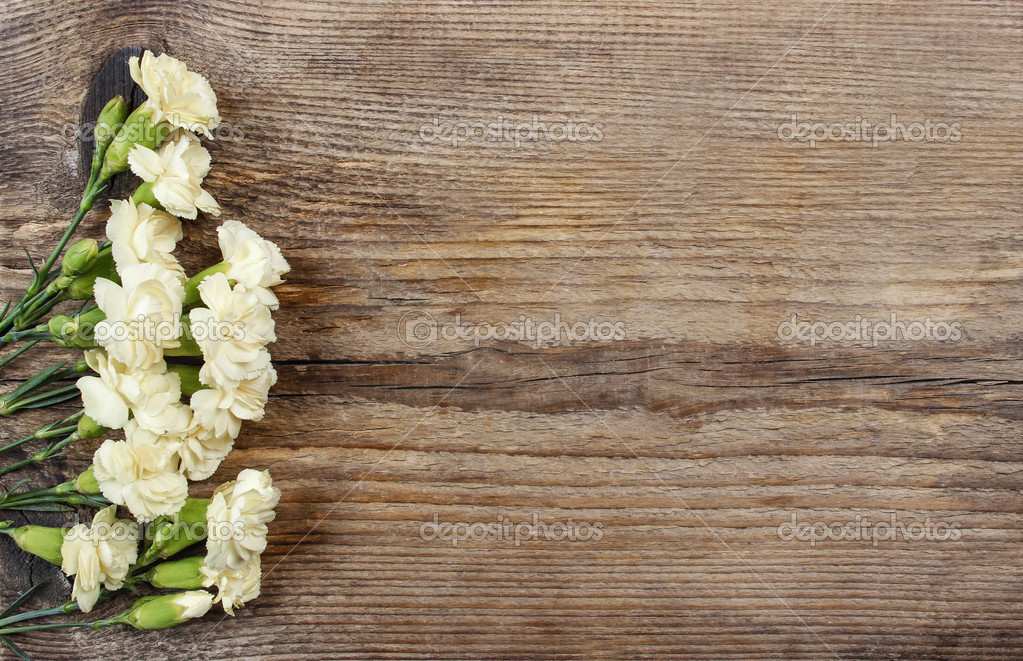 Yellow carnation flowers isolated on brown wooden background. Co Stock ...