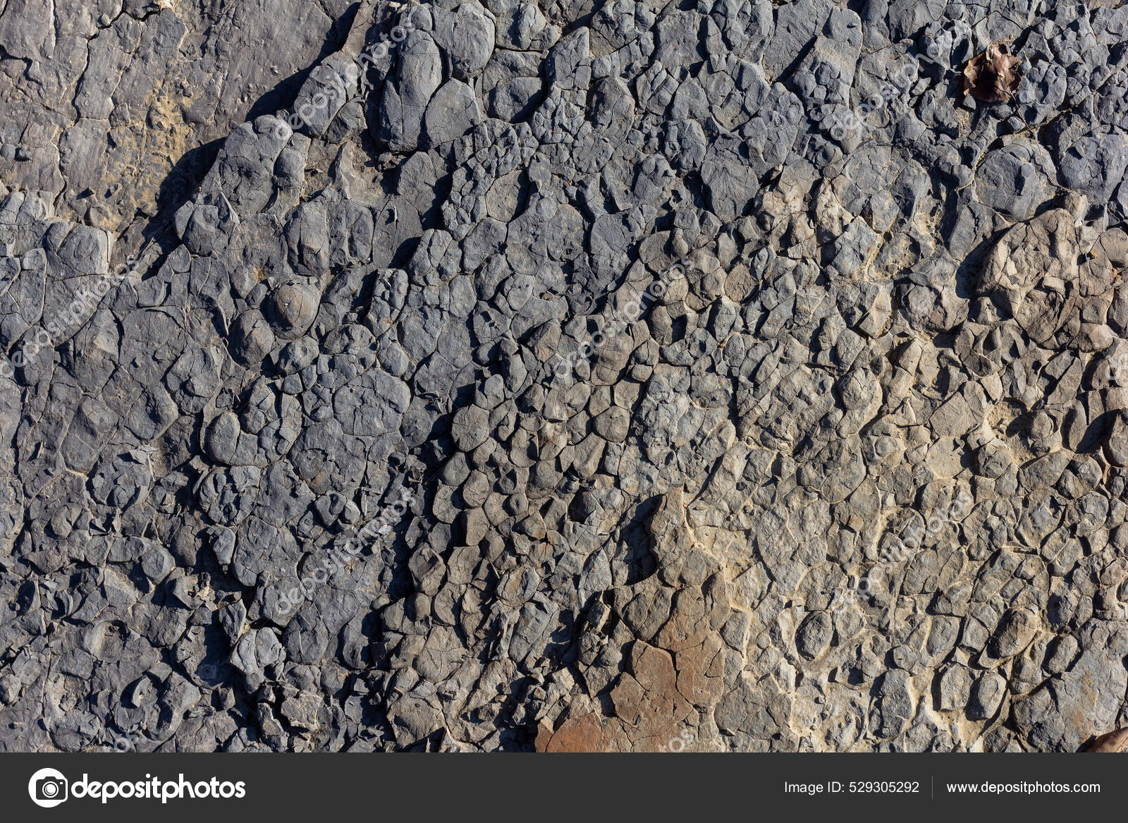Autumn Shallow Stone Sandy Bottom Mountain River Rays Morning Sun ...