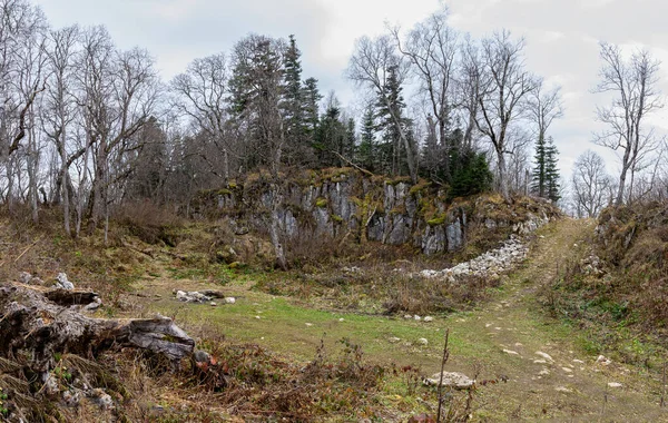 Pedreira de madeira Stock Photos, Royalty Free Pedreira de madeira ...