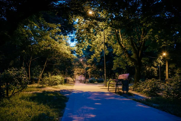 Summer night city park. Wooden benches, street lights, and green trees ...