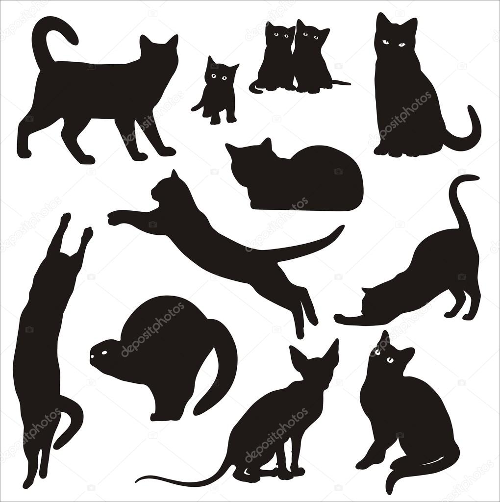 Silhouet Van Kat Vectorafbeelding Door © Erinvilar ⬇ Vectorstock 32840529