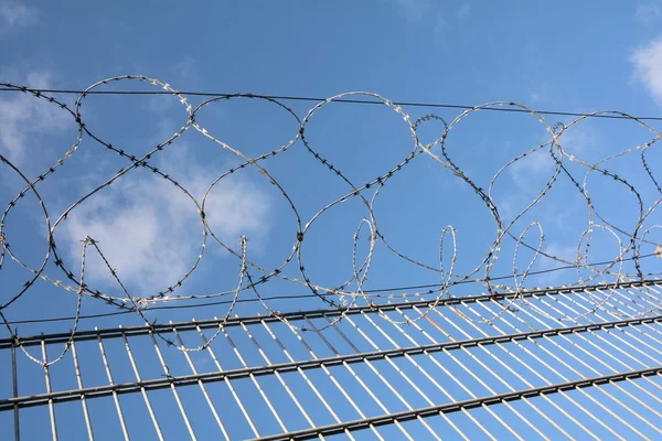 Human wire Stock Photos, Royalty Free Human wire Images | Depositphotos